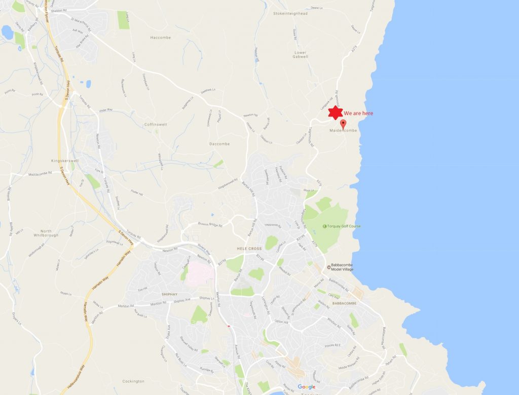 Local Map - Devon Palms